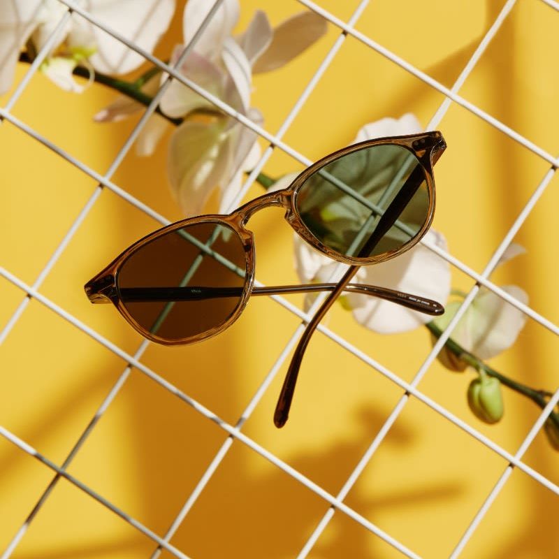 Garrett Leight Sample Sale, Los Angeles, July 2025